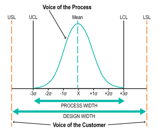 PPK vs CPK: Key Differences and Importance | Saint-Gobain Medical