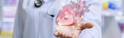 Catheter Delivery Systems for Cardiovascular Market| Saint-Gobain